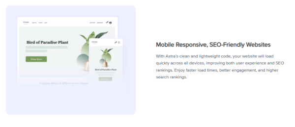 10 WordPress Themes for Programmer [Latest 2025]